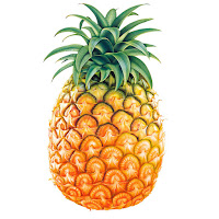 INFANTILES DE ANA V.: CONCEPTOS: LISO/RUGOSO