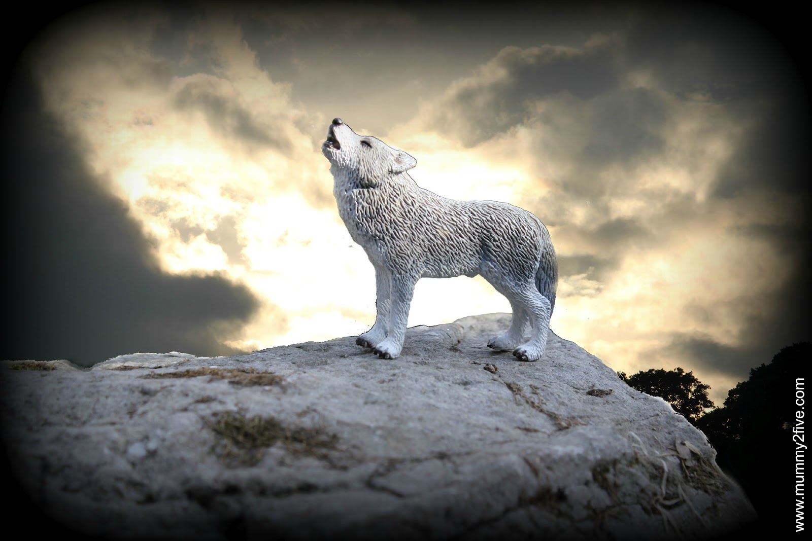 Craftaholic: Schleich Wildlife Range Review