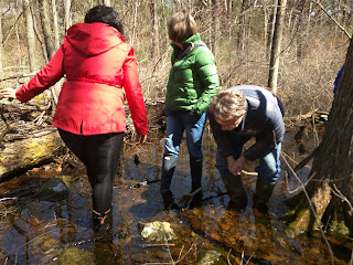 🍃 Ecosophical Perspectives