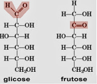 Adoçando: Frutose: o açúcar das frutas (Parte I)