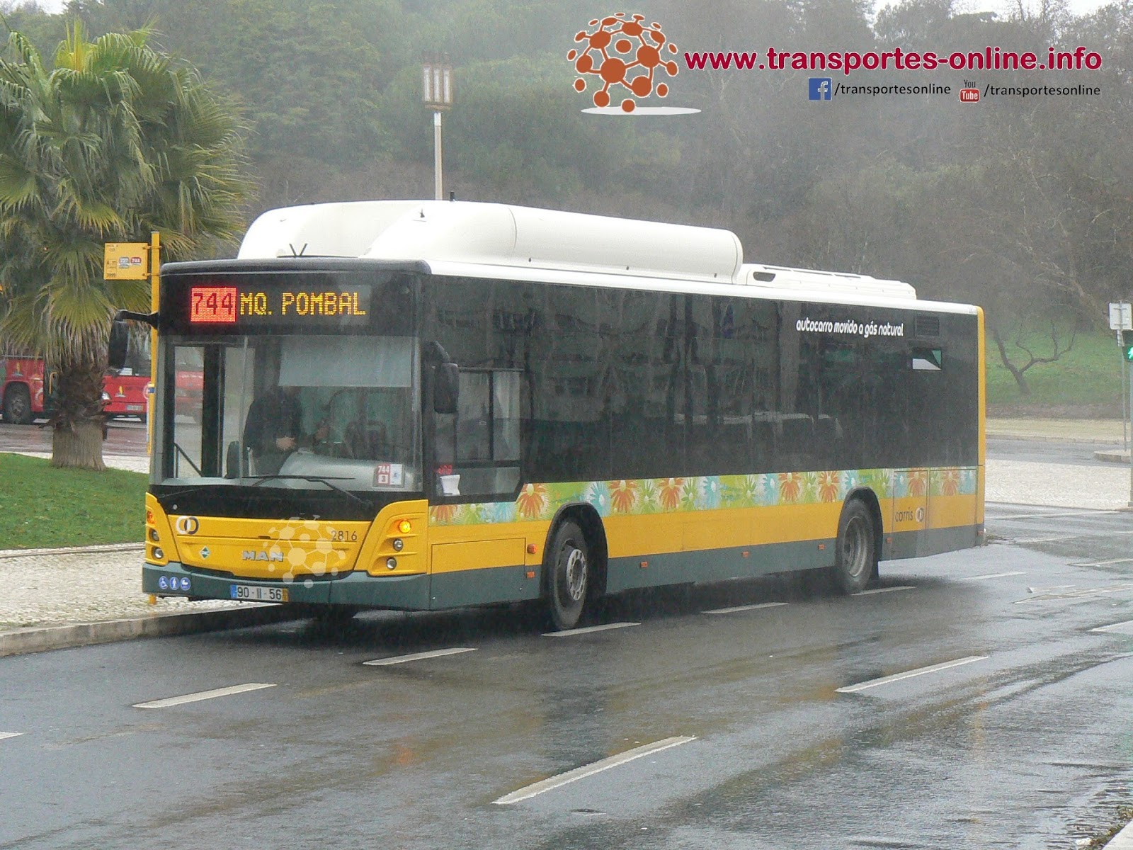 transportes online: Capital da Carris passou hoje para a Câmara de Lisboa