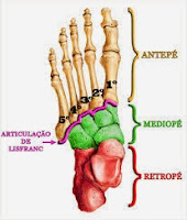 FISIOblog: Fratura do 5º metatarso
