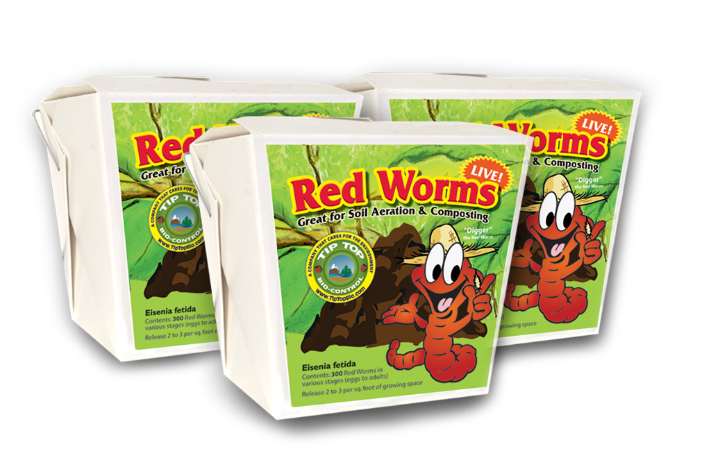 Star Nursery Blog: Worms for Food for Thought