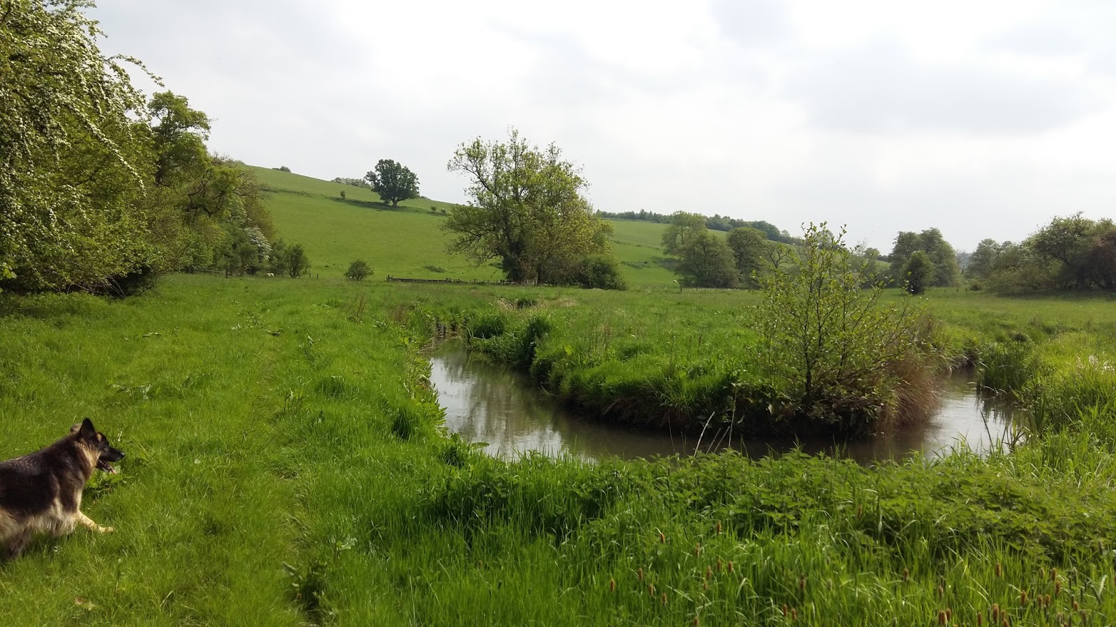 Cotswolds Travel: Shipton Oliffe & Withington Circular
