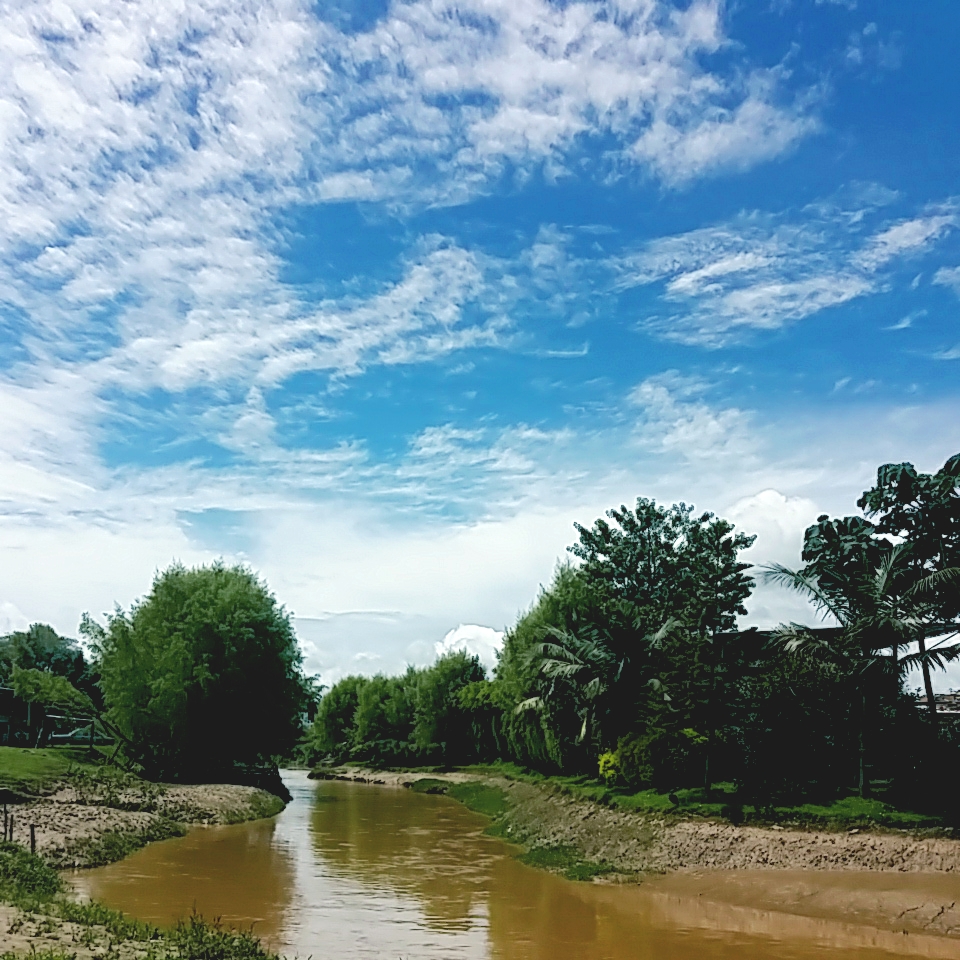 Rincon Cientifico: LOS ECOSISTEMAS