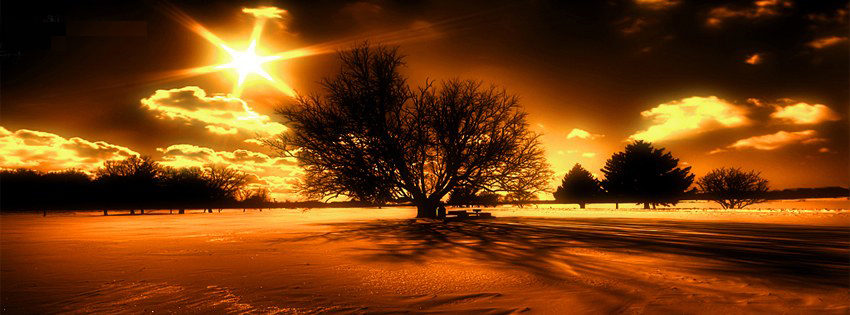 ABHI WORLD: FACBOOK NATURE COVER PIC