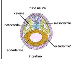 Sala BioQuímica: 2013