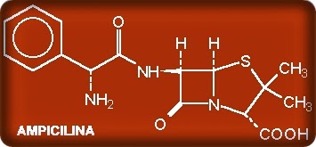 FARMÁCIA BRASILEIRA: ANTI-INFECTANTES ANTIBACTERIANOS - PENICILINAS