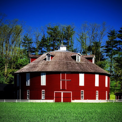 Ivy Hagenbuch's Portfolio