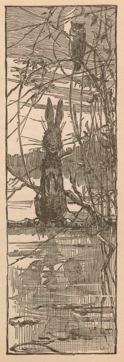 Mythology and Folklore UN-Textbook: More Brer Rabbit: How Mr. Rabbit ...