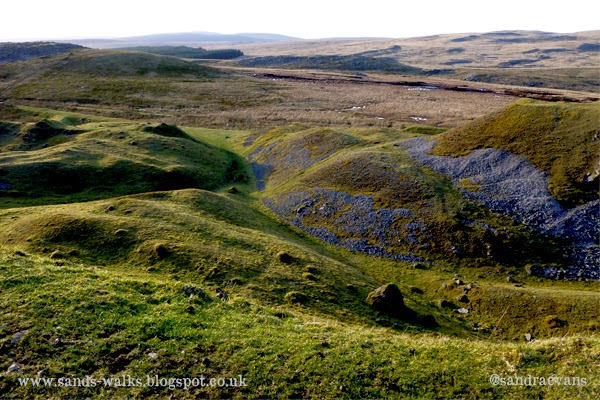 Sand's Nature Walks: Cribarth - Part 1 - 7 March 2014