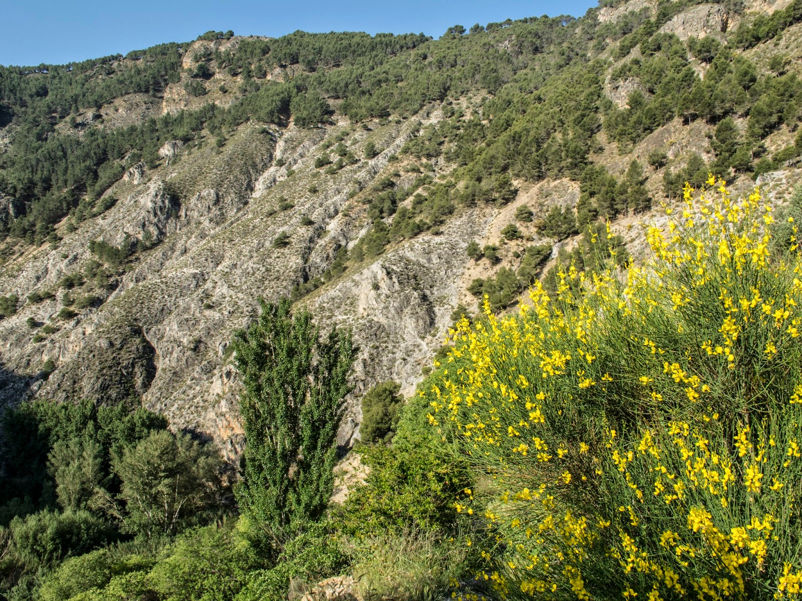 ¿Por dónde va la verea?: De Cónchar a Melegís