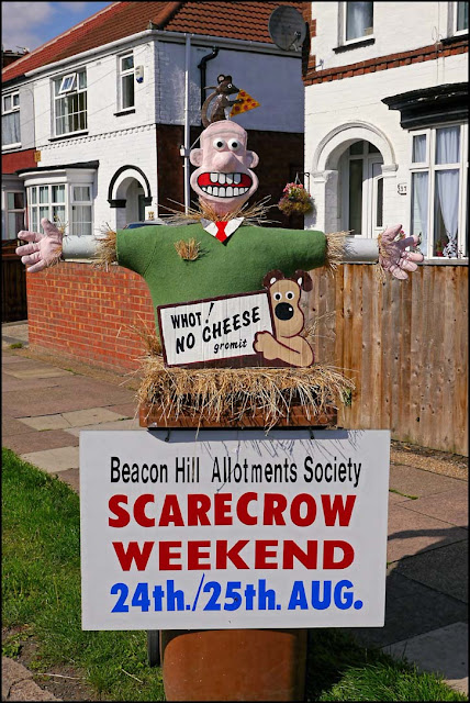 Lincolnshire Cam: Scarecrows at the Allotments.