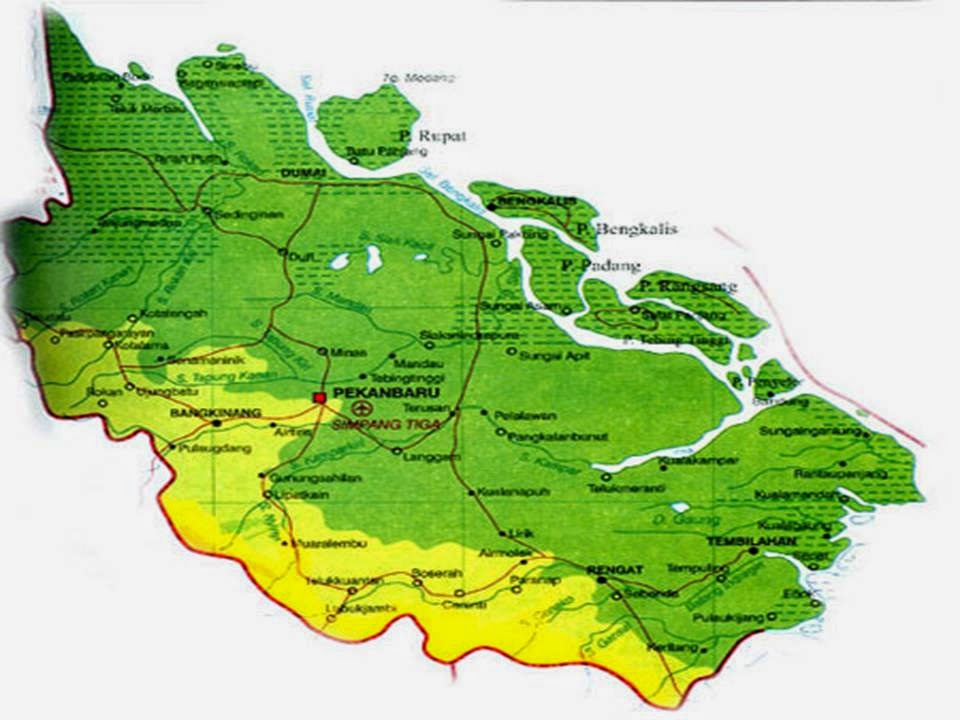 Ekositem Hutan Rawa Gambut: MAKALAH EKOSISTEM HUTAN RAWA GAMBUT (EKOTUM)