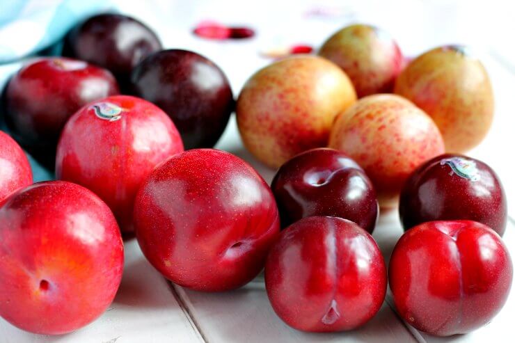 Metis® Frangipane Cake | A Cornish Food Blog | Jam and Clotted Cream