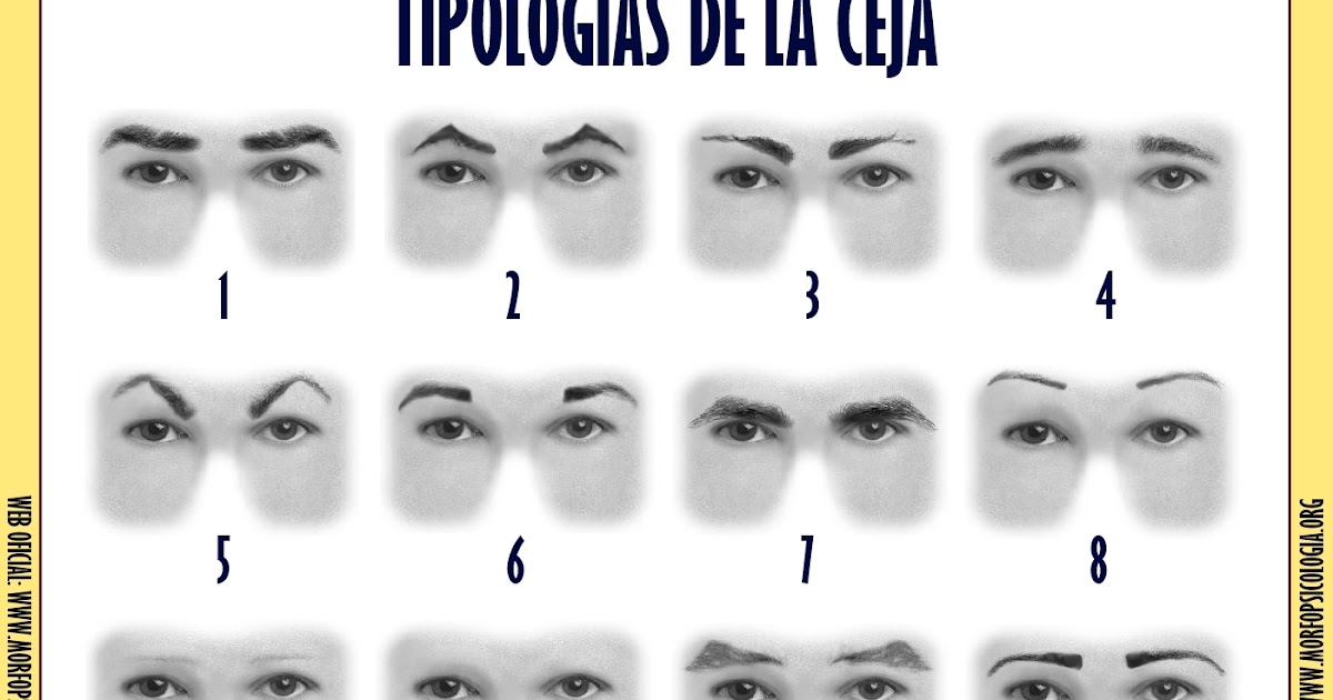 Moisés Acedo Codina: LAS CEJAS: SU SIGNIFICADO