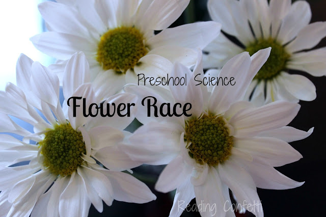 Flower Race: Preschool Science ~ Reading Confetti