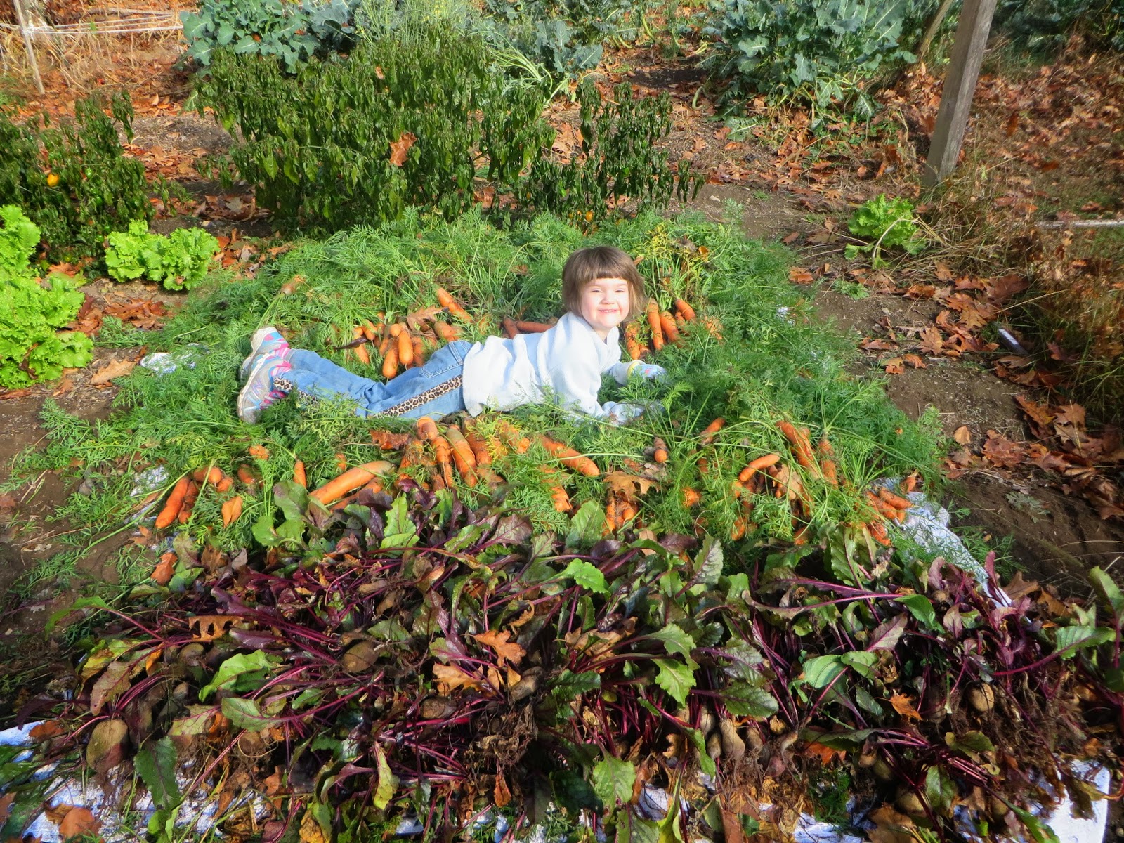 Our Small Farm in the Woods