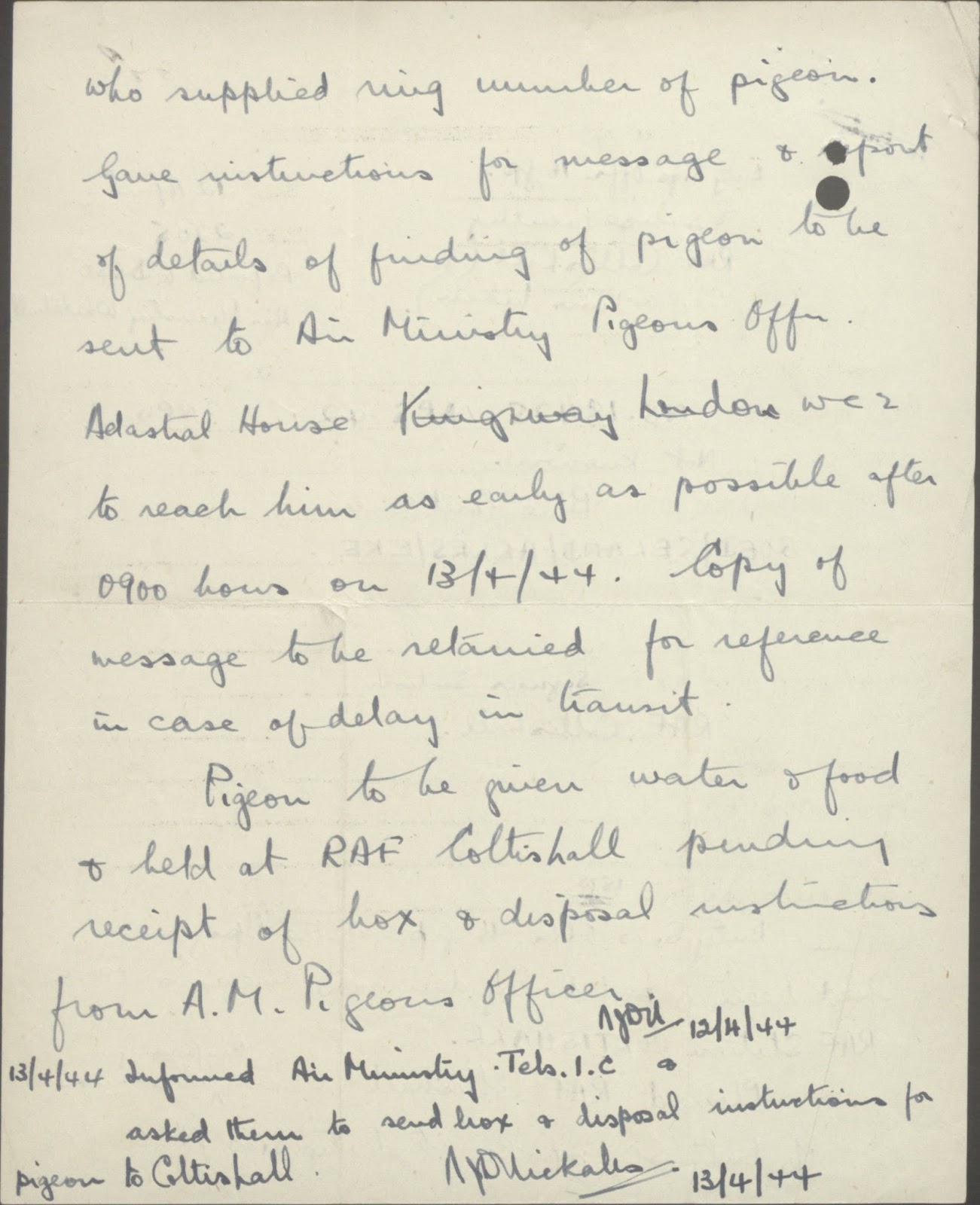 World War 2 History and the WW2 Pigeons: 1944 pigeon delivers coded message