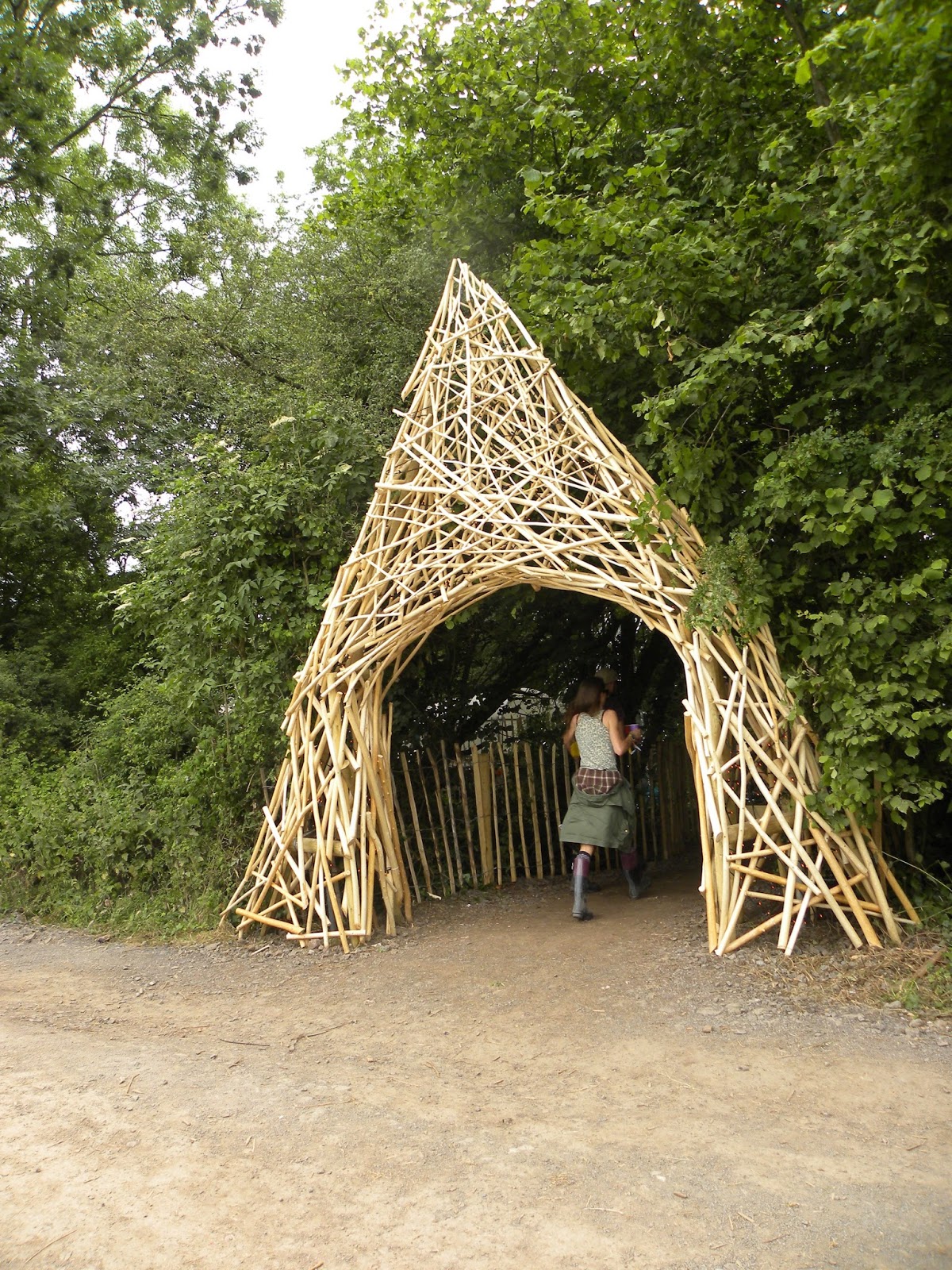 Strip the Willow