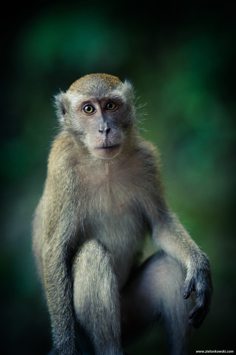 Mitoslavia: 07/30/16