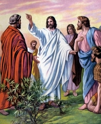 Children's Rosary: "He sent them out two by two"