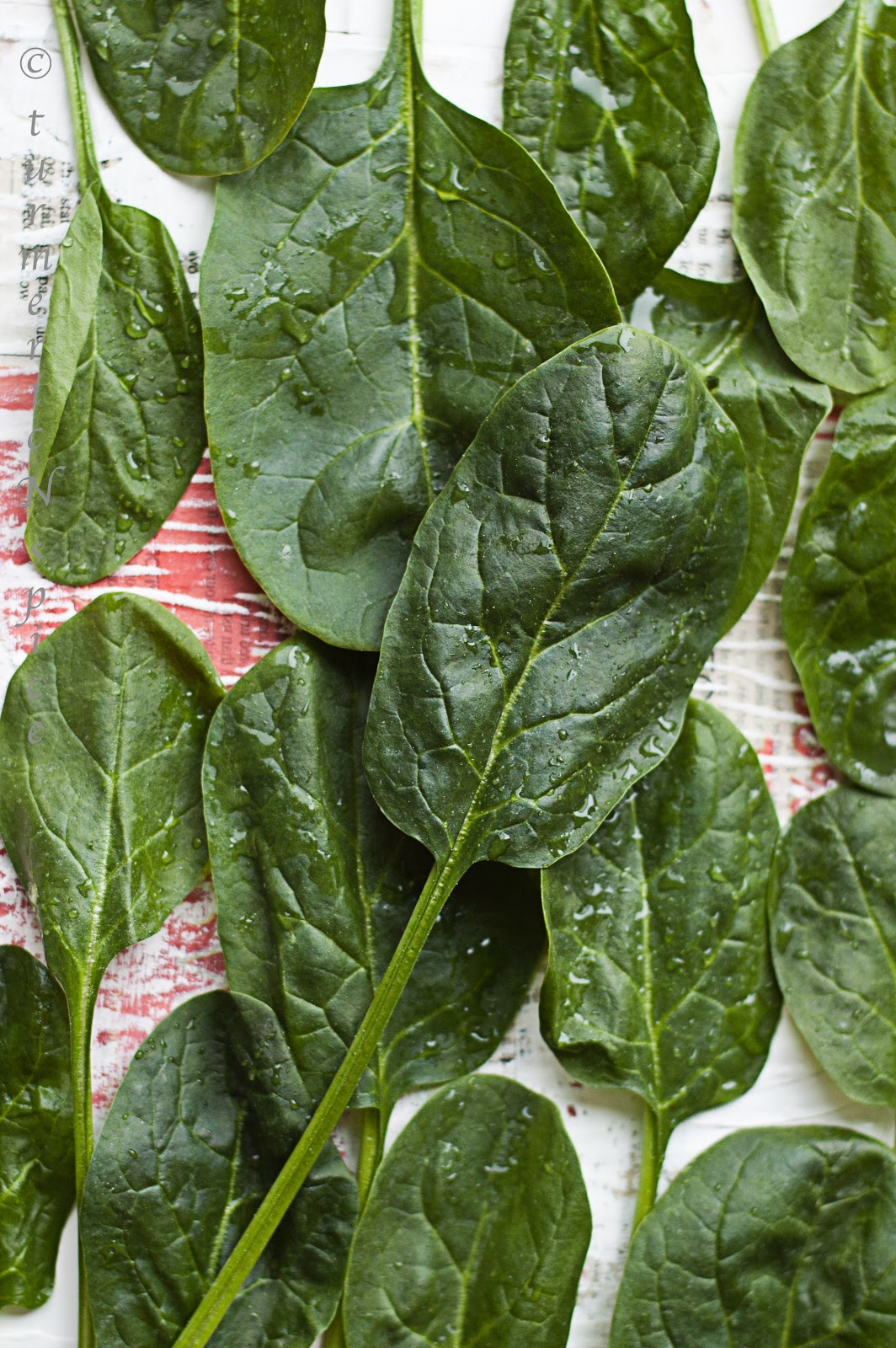 Turmeric n spice: Phyllo savory pastry
