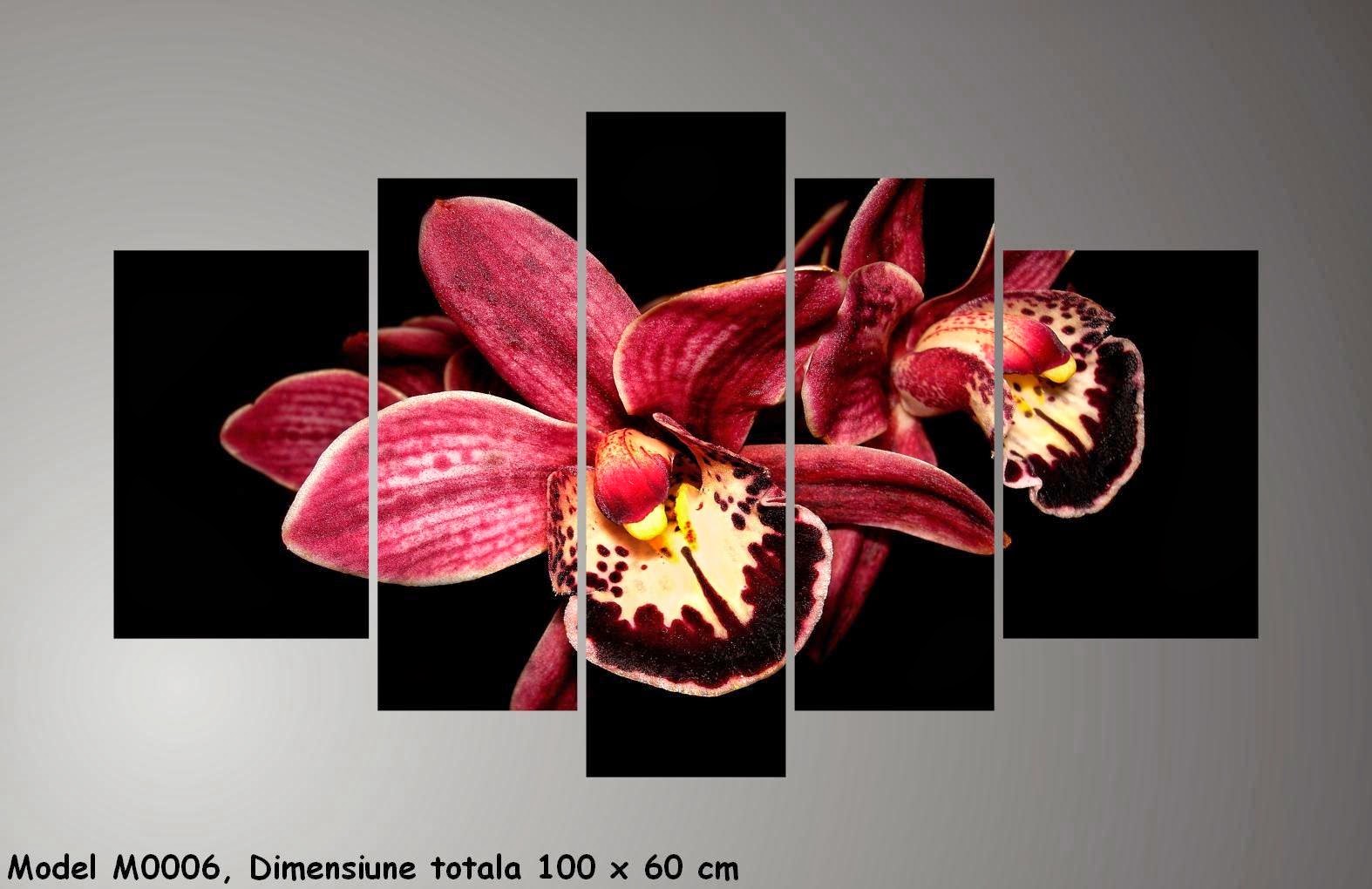 Tablouri Canvas, Tablouri Moderne, Tablouri Decorative, Tablouri ...