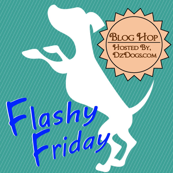 DZ's Adventures: Flashy Friday Blog Hop!