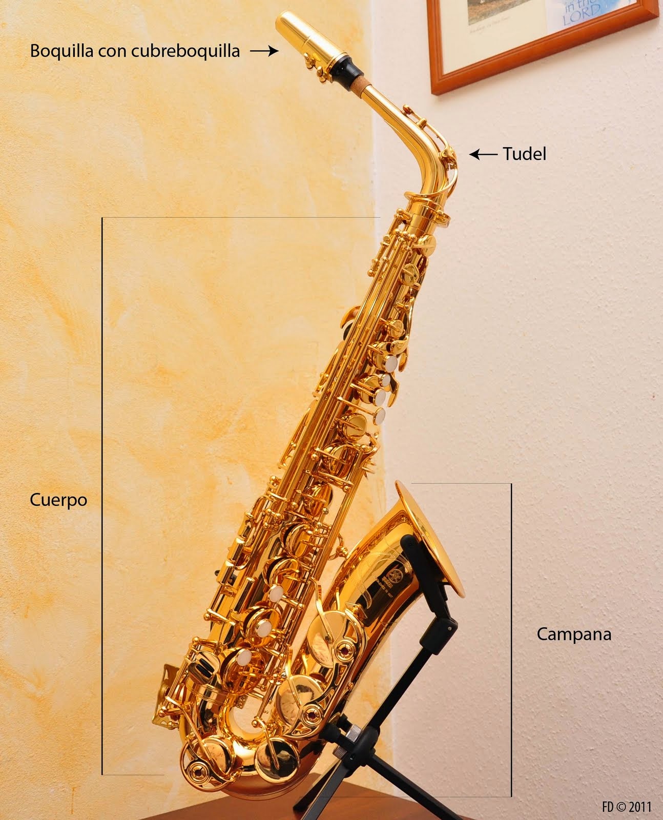 Saxophone♥: La partes del saxo!