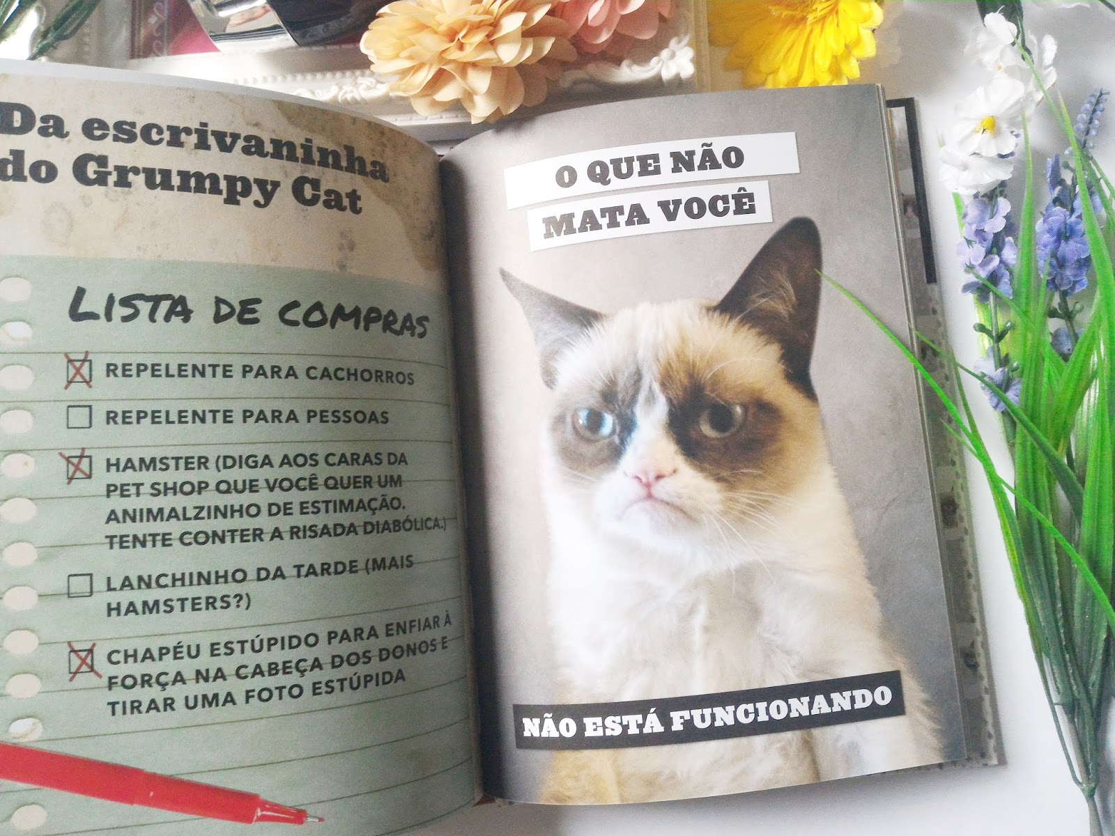 [Resenha #1145] Grumpy Cat - Um Livro Azedo @belasletras / Rotina Agridoce