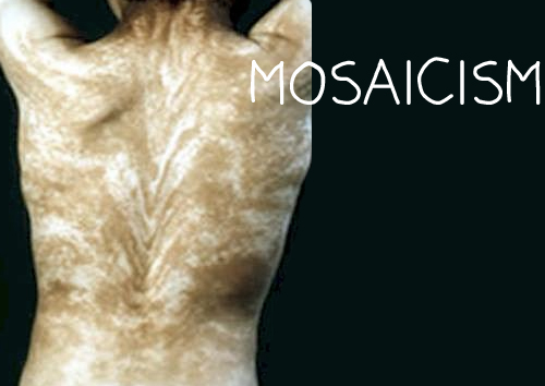 The Pineneedle Collective: May 2013