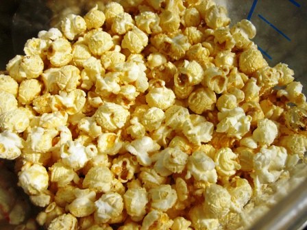 Wild Ed's Texas Outdoors: HOMEMADE KETTLE POPCORN