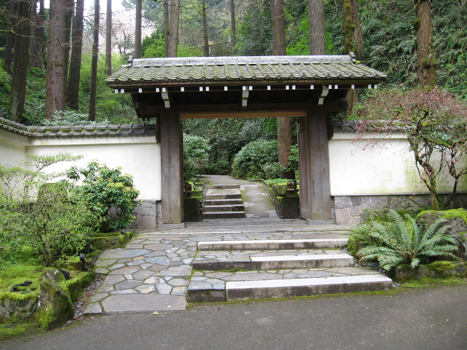 Seattle Japanese Garden Community Blog: A Visit to Portland Japanese Garden