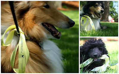 Must Love Dogs: The Yellow Dog Project