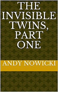 ANDY NOWICKI: ANTISEXUAL AUTHORIAL ANTI-ICON: 'THE INVISIBLE TWINS' BY ...