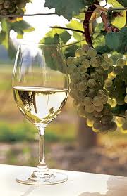 - Hoy, invito yo !: Caracteristicas del Vino Torrontes. Varietal Torrontes