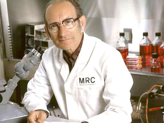 La Bahía perdida (Bahía Blanca, Argentina): Milstein y el monumento al ...