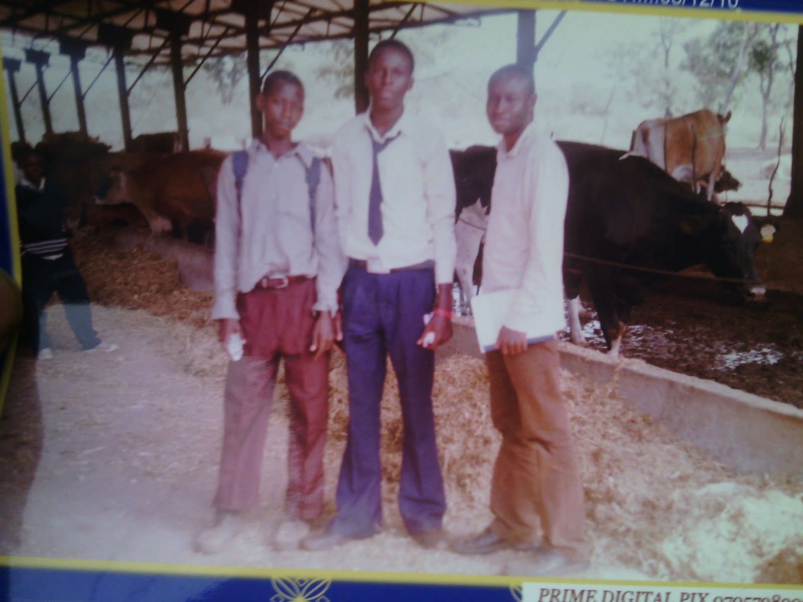 Shonga Farms Holding - Shonga Kwara State | Farming in Nigeria