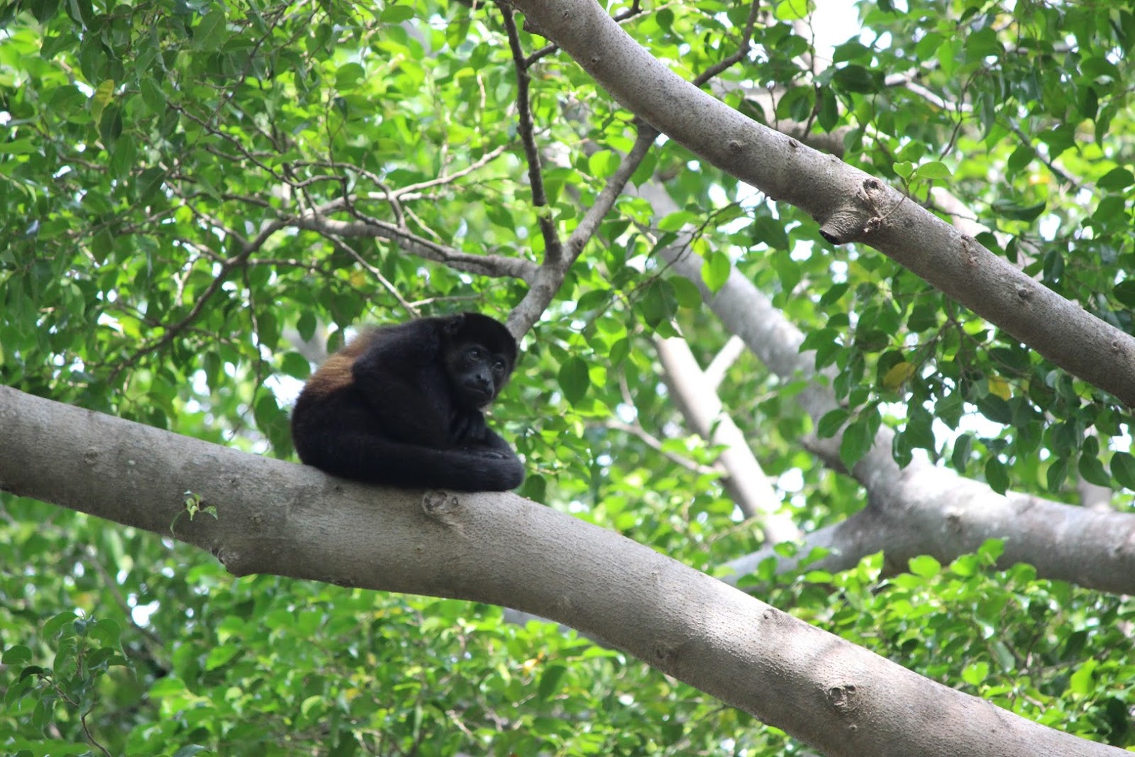 Finlay Family Fun: 2017