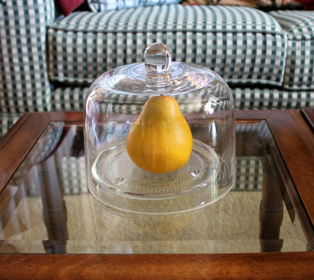 My Cozy Corner: A 'BIG' New Cloche for My Cozy Corner