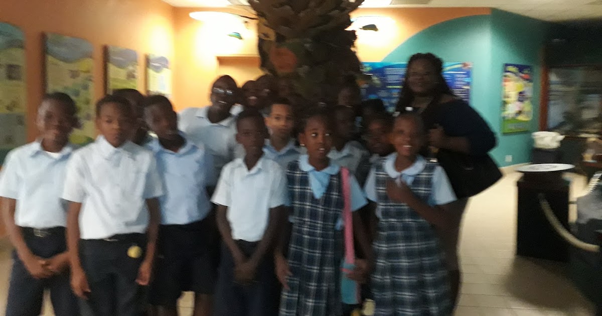 Miss Forbes Classroom: GRADE 4 INTERVENTION OSETA JOLLY PRIMARY SCHOOL ...