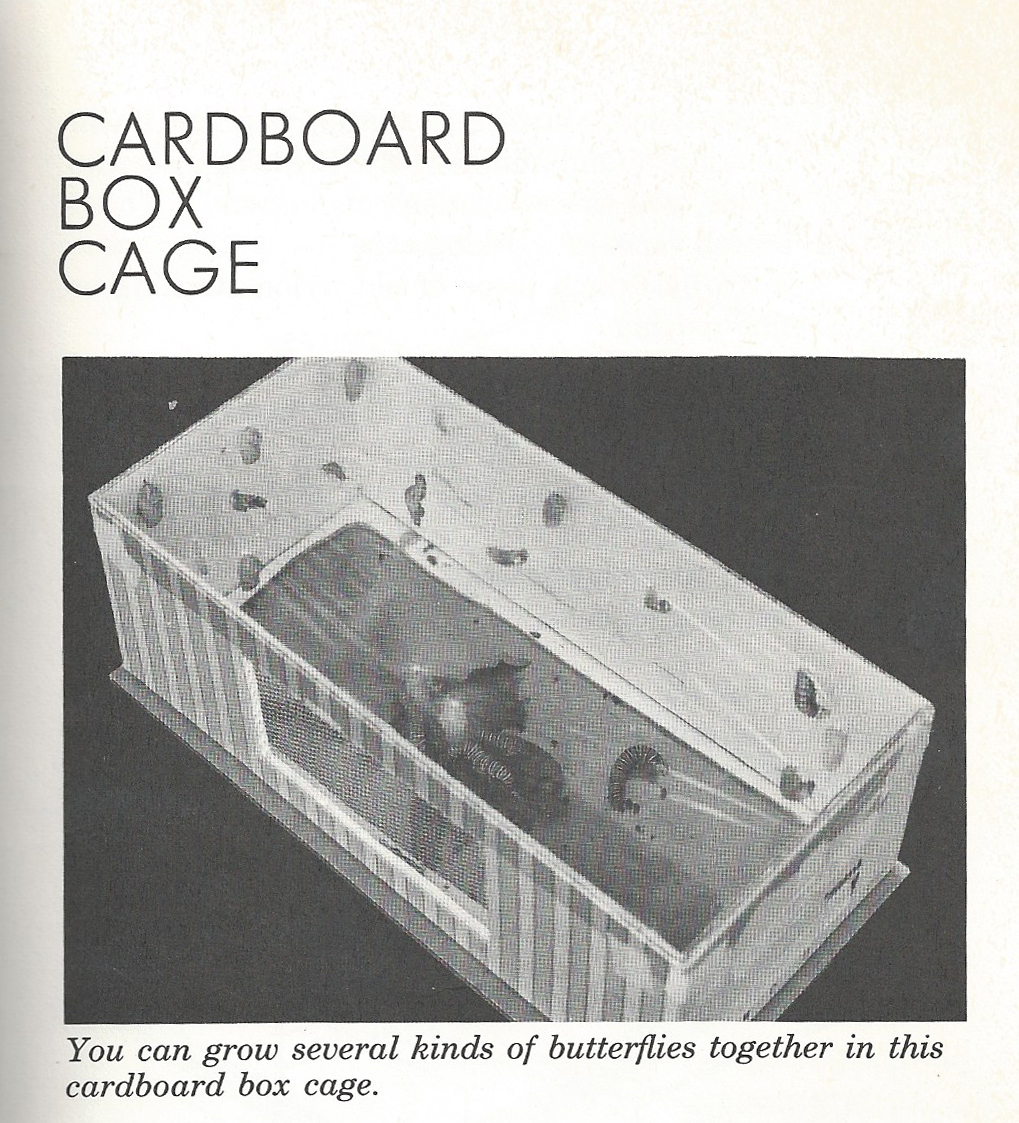 The Haunted Closet: 2016