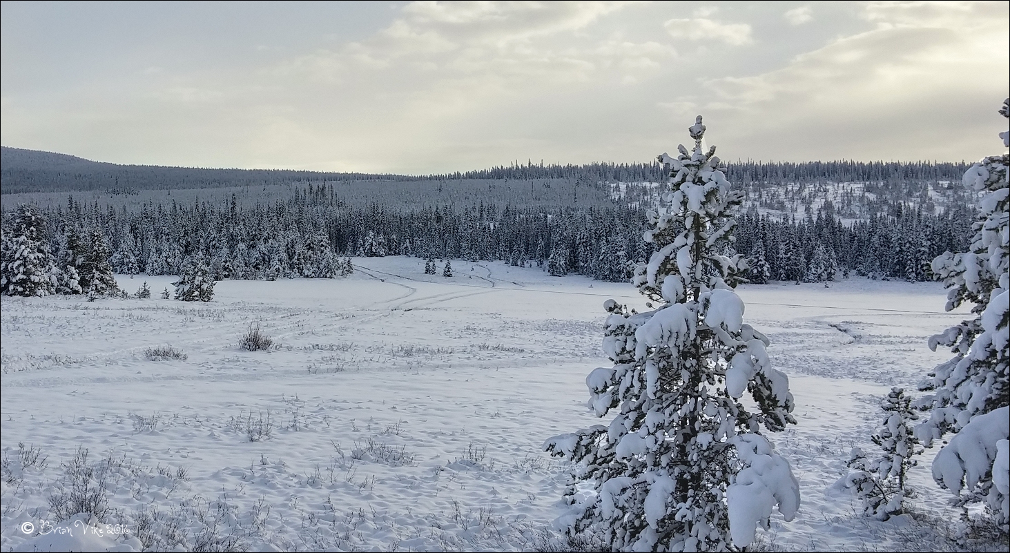 Northern Interior British Columbia: Winter's Snowfall 3 In Houston ...