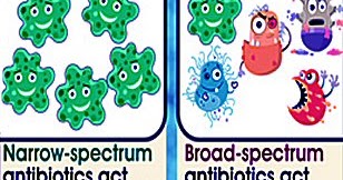 Broad vs Narrow spectrum Antibiotic ~ BetterHealthFacts.com