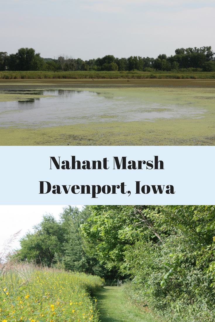 A Little Time and a Keyboard: Nahant Marsh in Davenport, Iowa