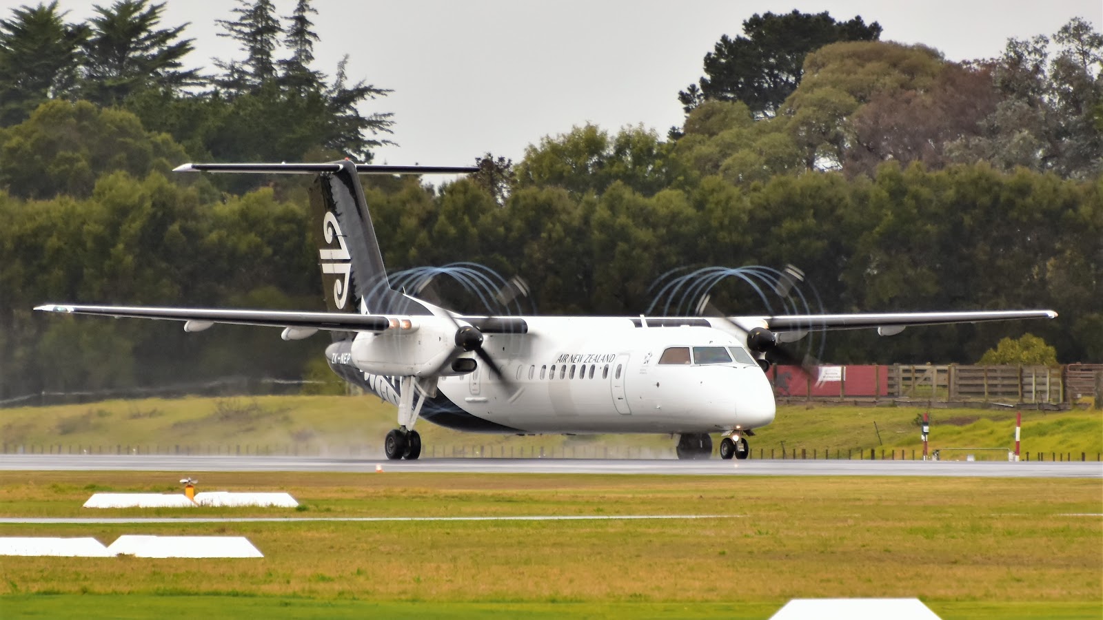 Tauranga Spotter: PROP WASH