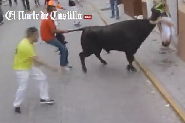 THE WESTERNER: Horrific footage shows man being gored to death during ...