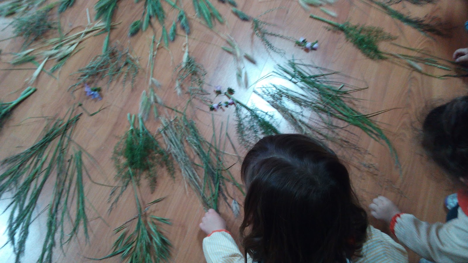 Actividades sobre la primavera