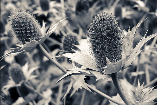 Grace Unit 1 Photography: Defintion Post - Tone